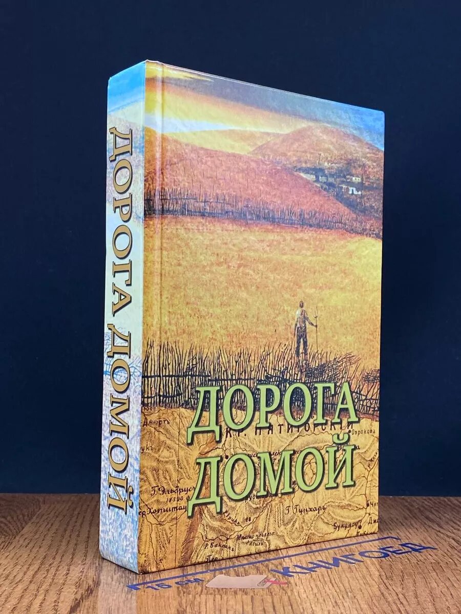 Книга. Дорога домой 2011 (2040801121120)