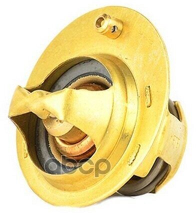 Термостат FORD Fiesta (01-08) BSG BSG AUTO PARTS арт. BSG30125020