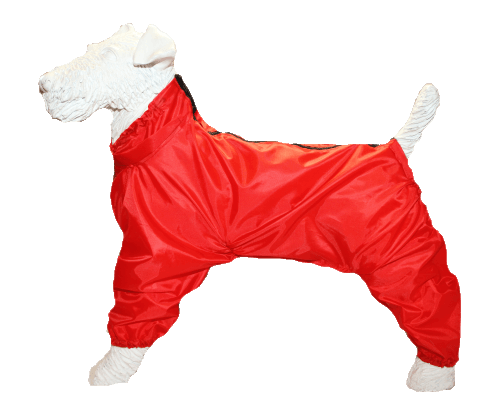 Дождевик-комбинезон для крупного лабрадора суки, повышенной прочности, цвет красный