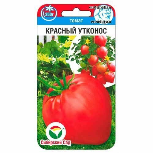 Томат Красный Утконос (3 упаковки), семена