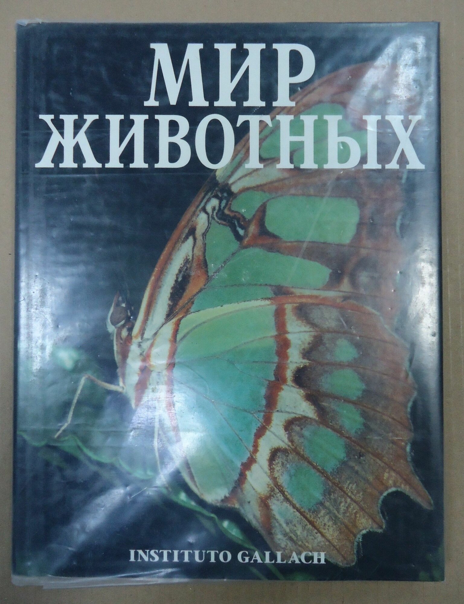 Мир Животных. Беспозвоночные. Моллюски, черви, иглокожие