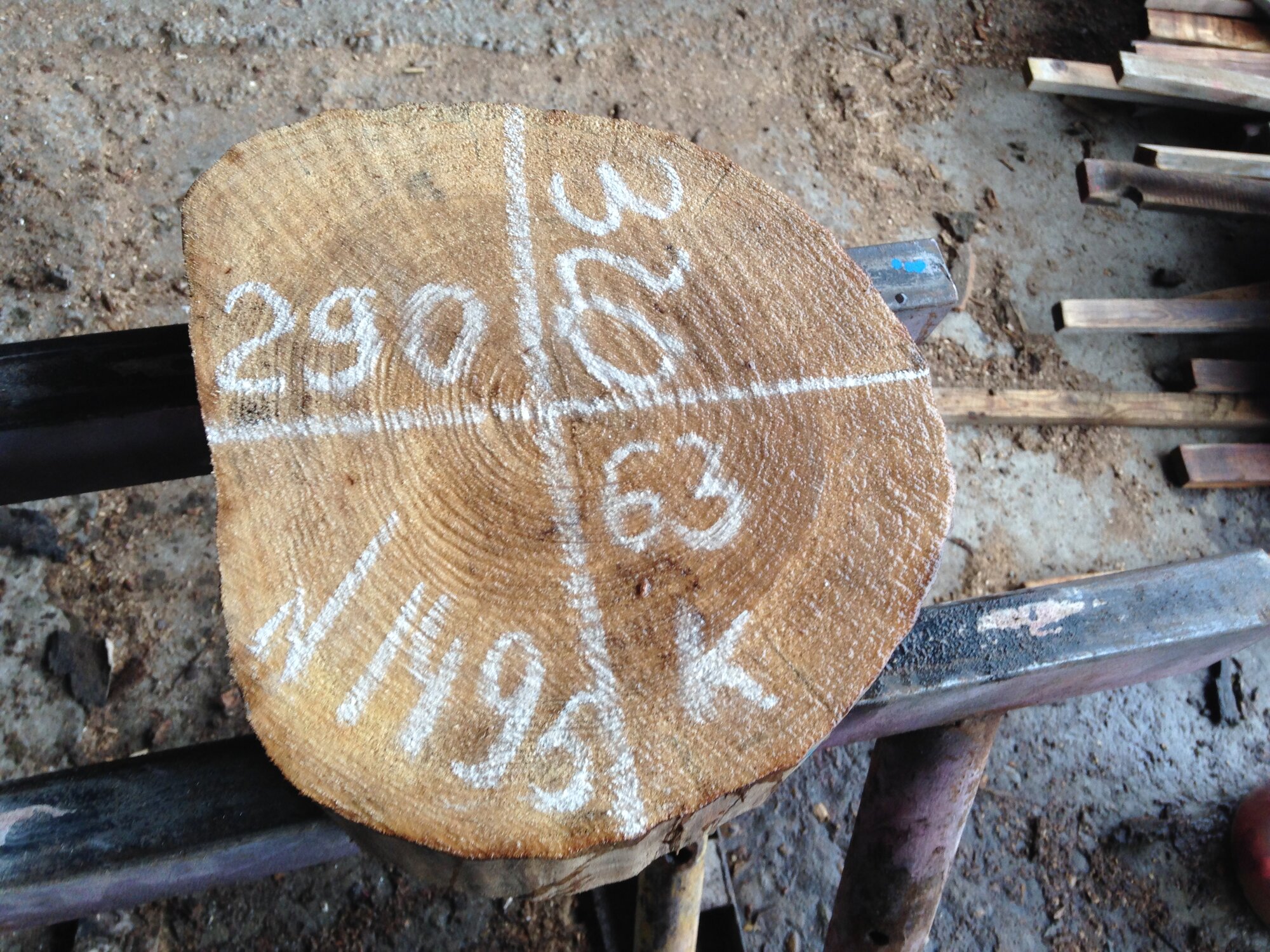 Спил торцевой Доклес №1495 карагач, для столешниц и подоконников, антисептическая обработка