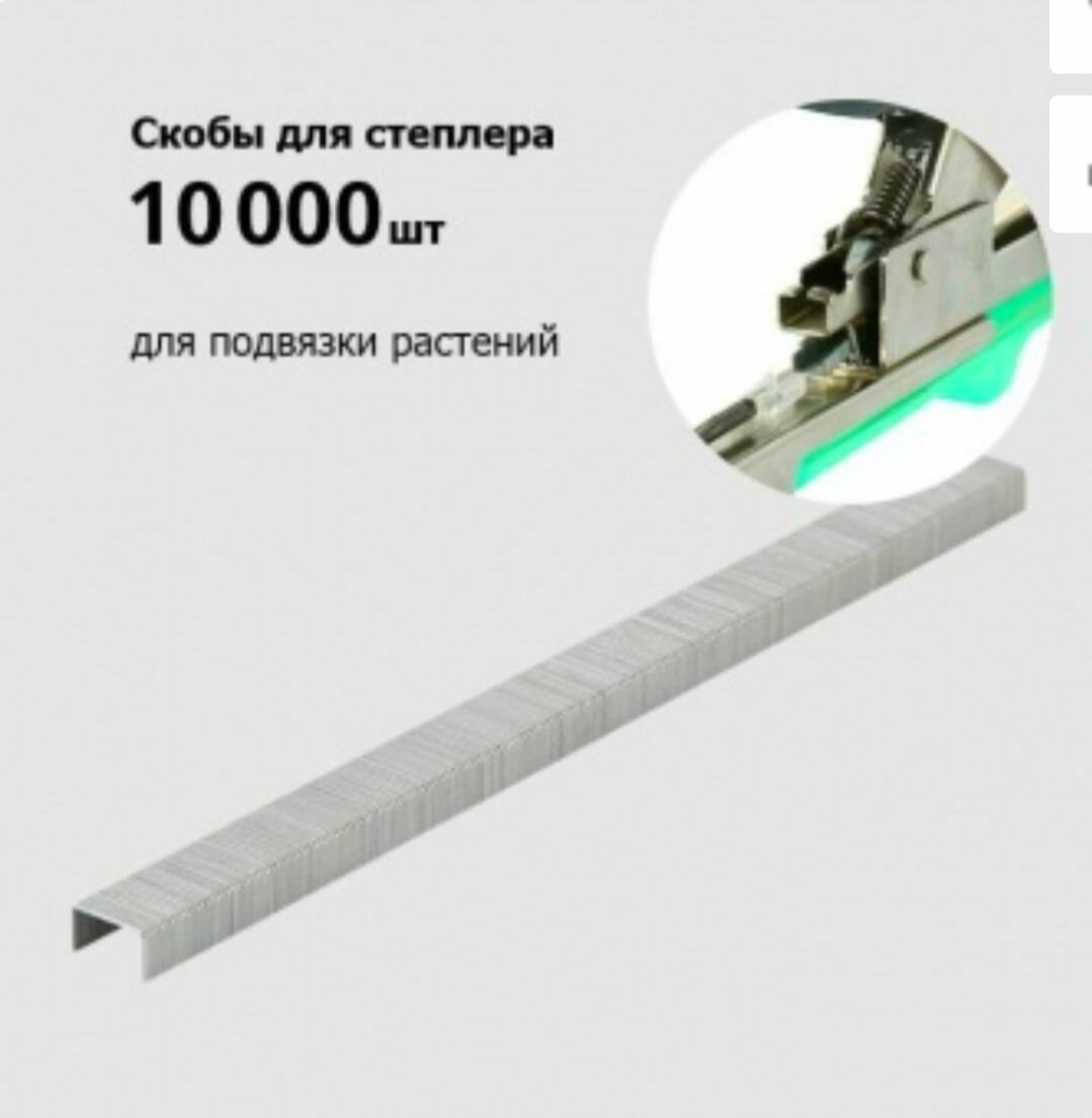 Скобы для тапенера (степлера) для подвязки растений 10000 шт