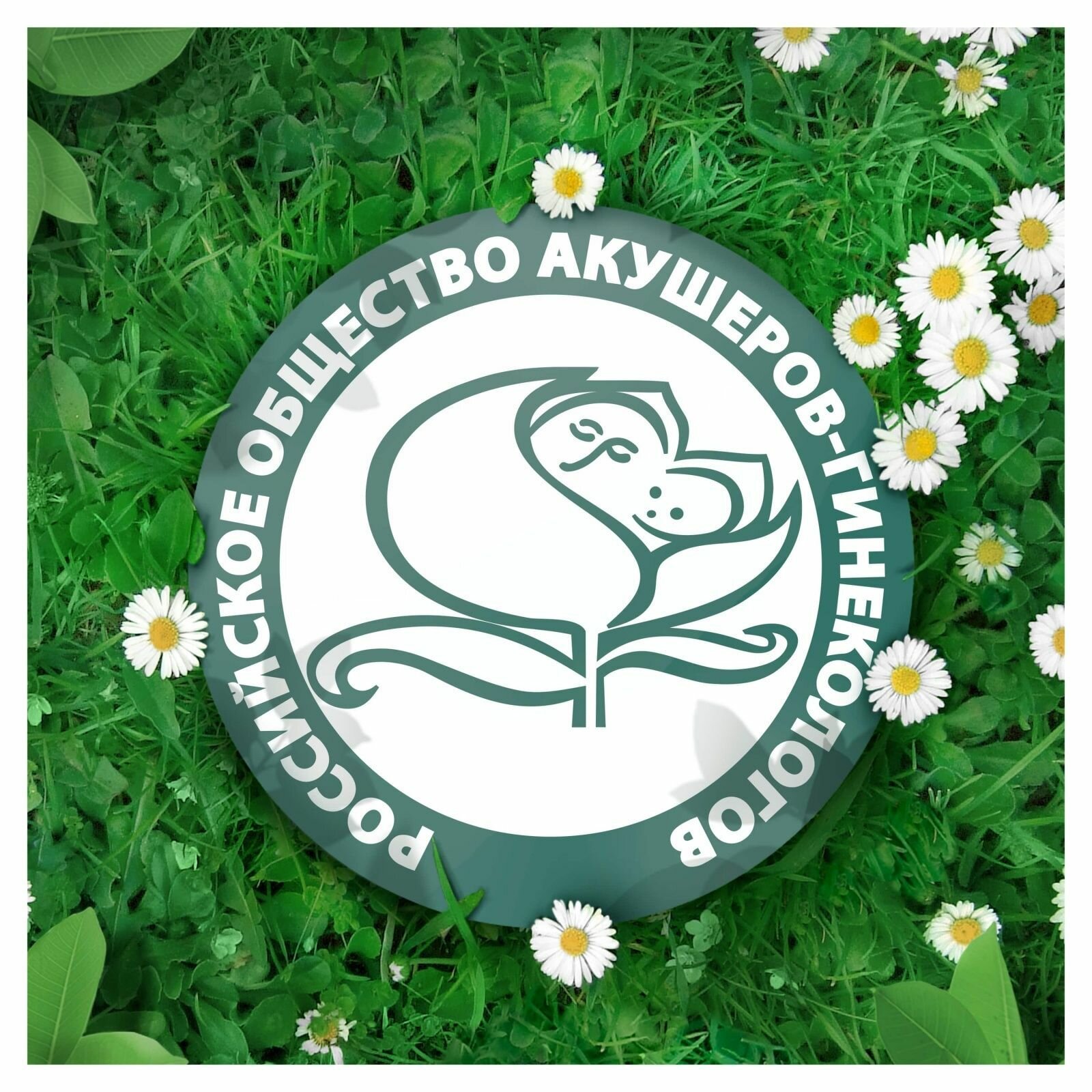 Гигиенические прокладки Naturella ароматизированные, с крылышками "Ultra Нормал", 80 шт (83746849)