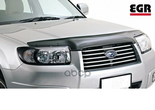 037051 , EGR , Дефлектор капота EGR арт. 037051