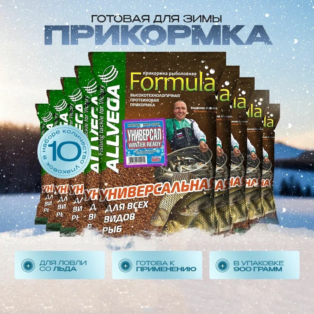Прикормка для зимней рыбалки готовая ALLVEGA Formula Winter Ready универсальная 10 штук по 0.9 кг.
