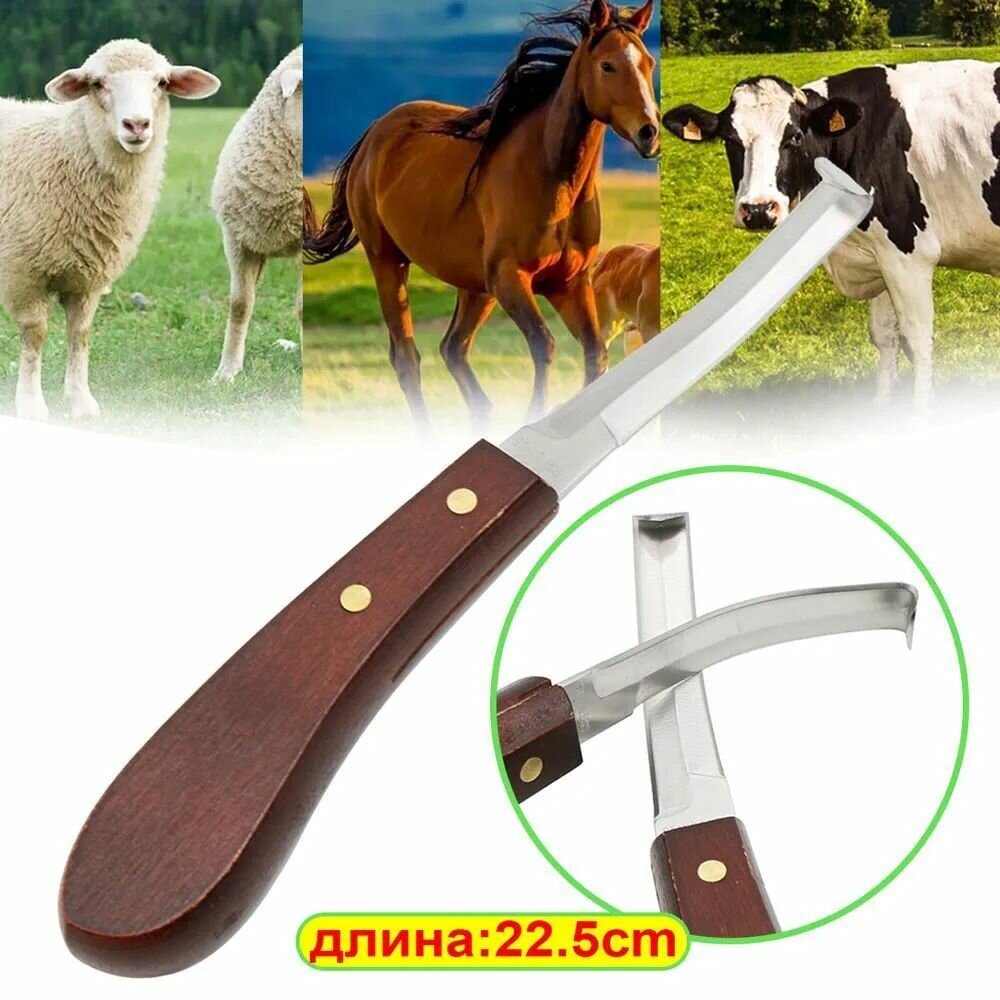 Ботинки для лошади