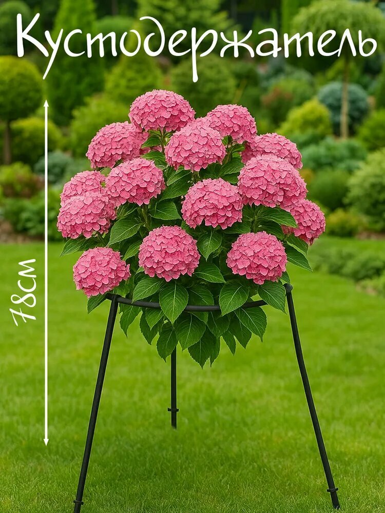 Кустодержатель, Комплект-Агро Роза, 78*40*25см, черный- 1 шт.