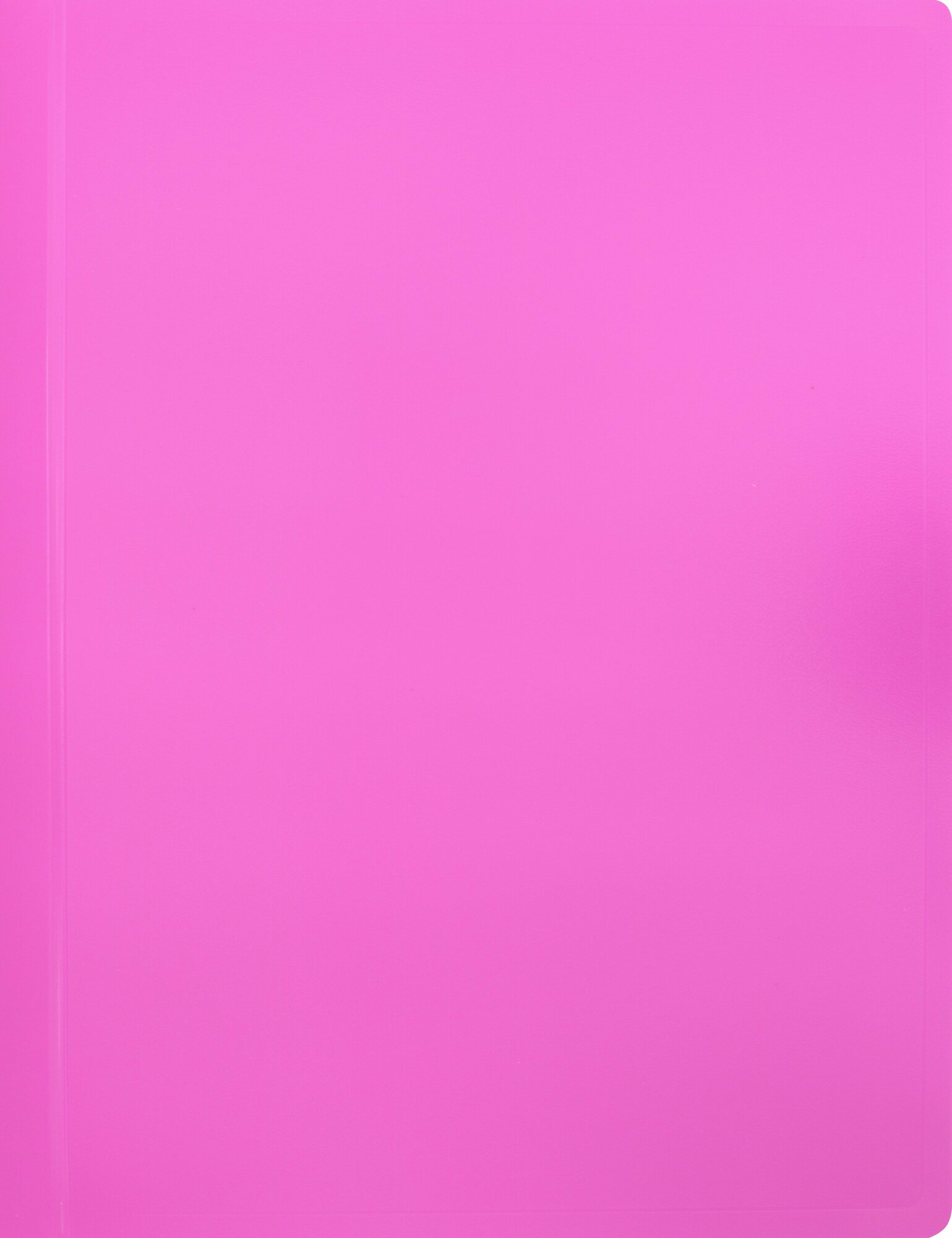 Папка 10 вкладышами А4 "Neon" розовый (DNE07V10PINK)