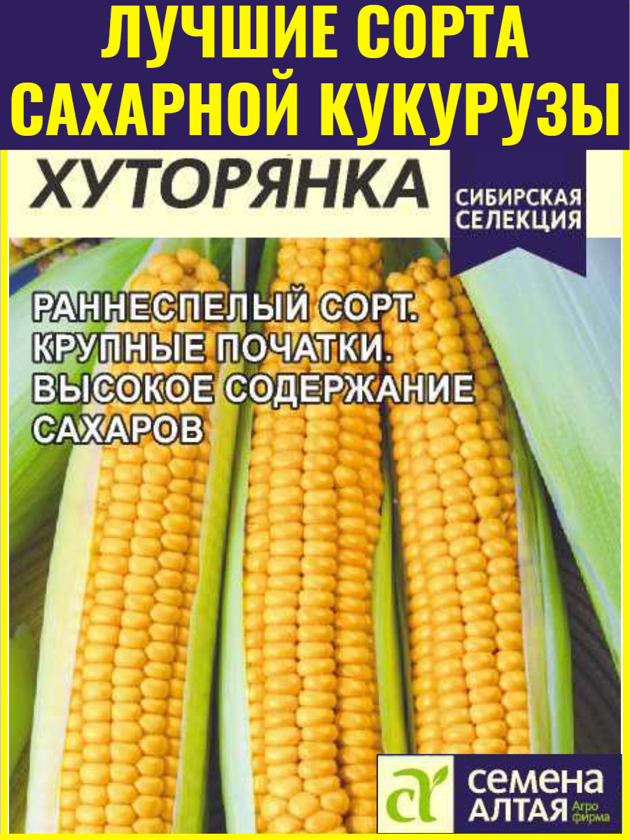 Семена сахарной кукурузы Хуторянка - 3 г. Раннеспелый сорт сибирской селекции