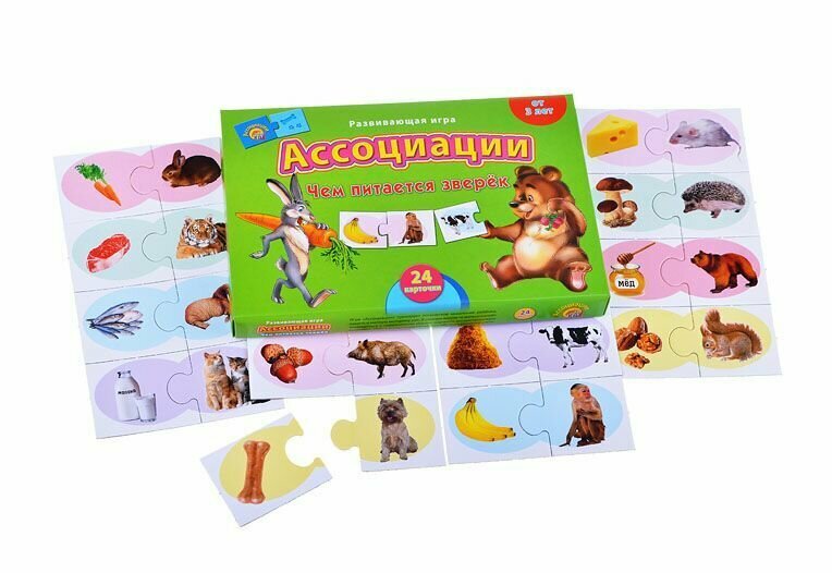 Ассоциации Рыжий кот Чем питается зверек (7984-ИН)