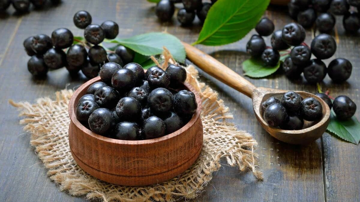 Черноплодная рябина сушеная (Арония черноплодная), без сахара, 50 гр.