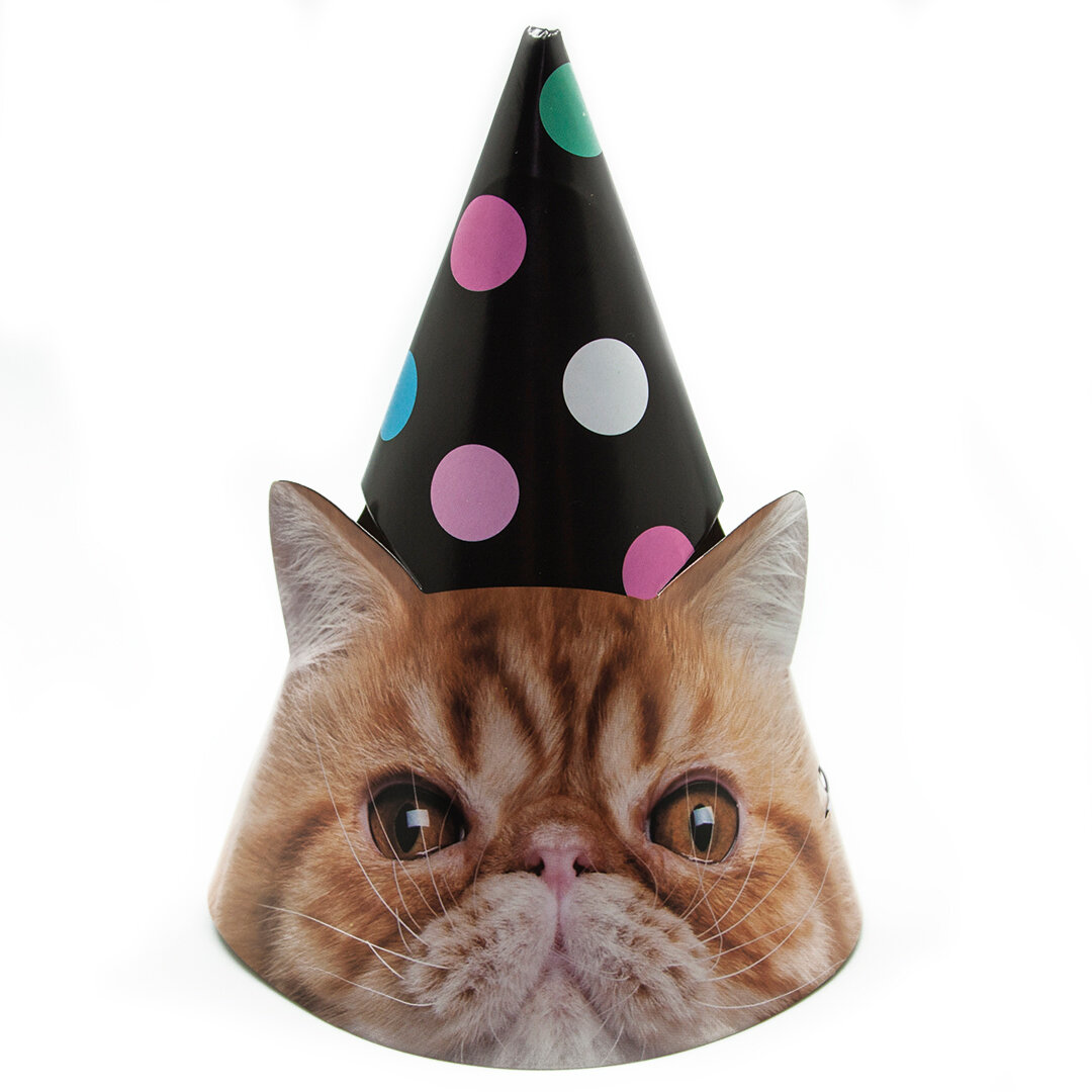 Колпаки, Котики, 6 шт.