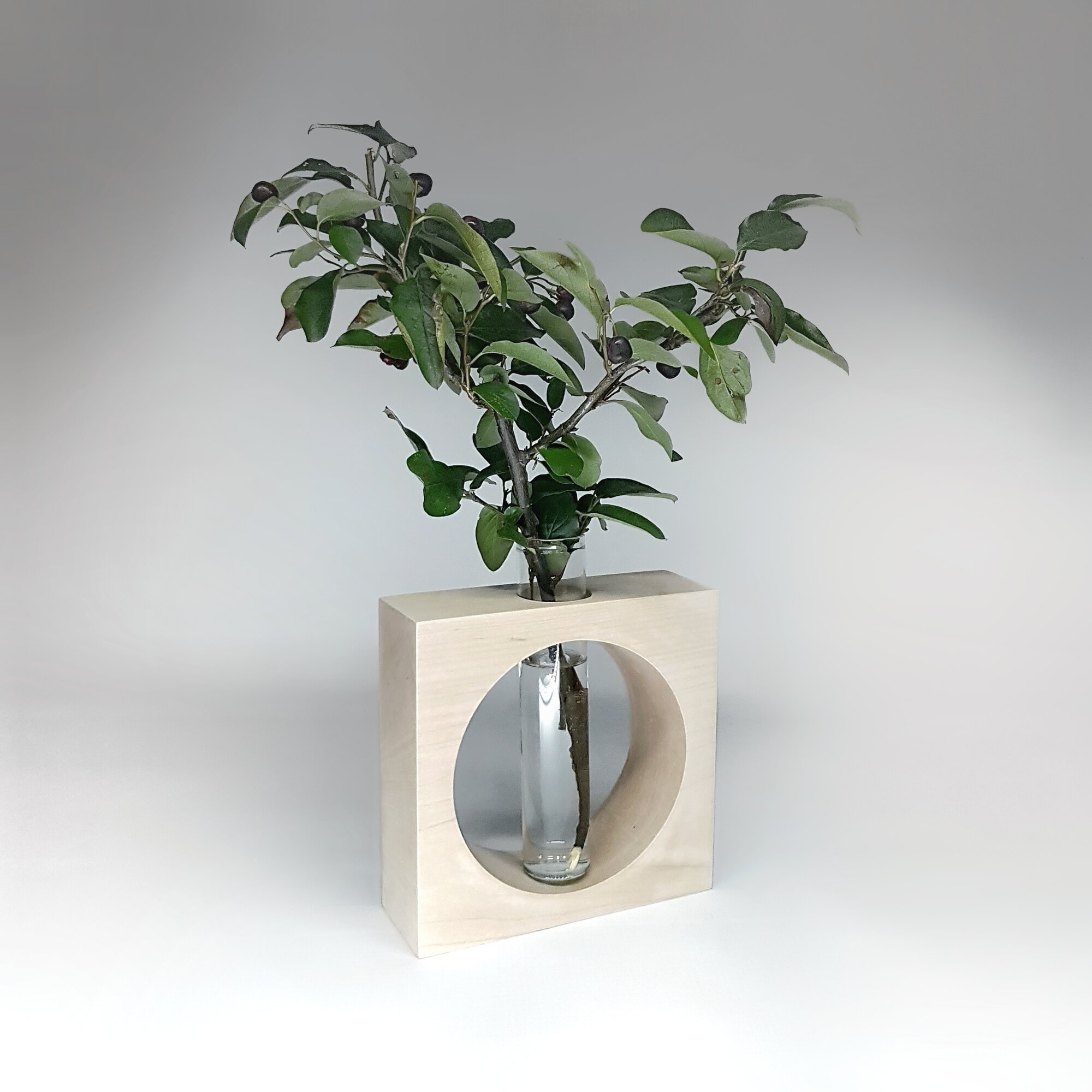 Дизайнерская настольная ваза для сухоцветов и живых цветов