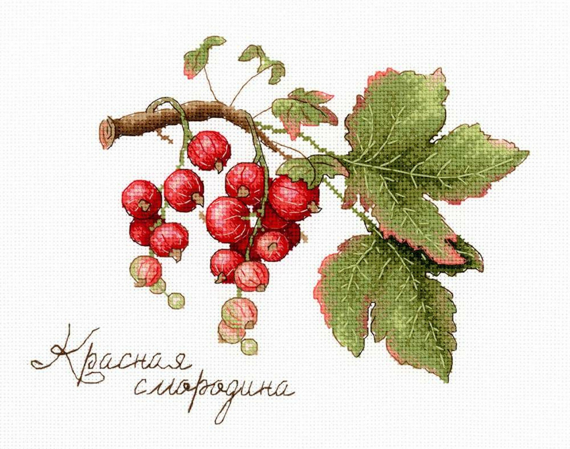 Вышивка Дары природы. Красная смородина 20x15 см.