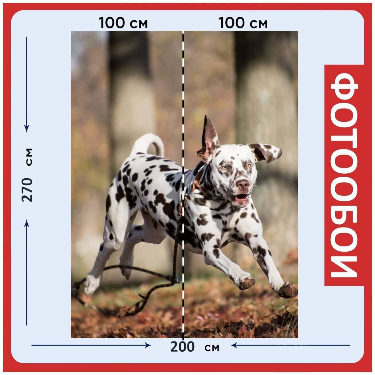 Фотообои "Далматинец, собака, бег" 200x270 см. флизелиновыена стену