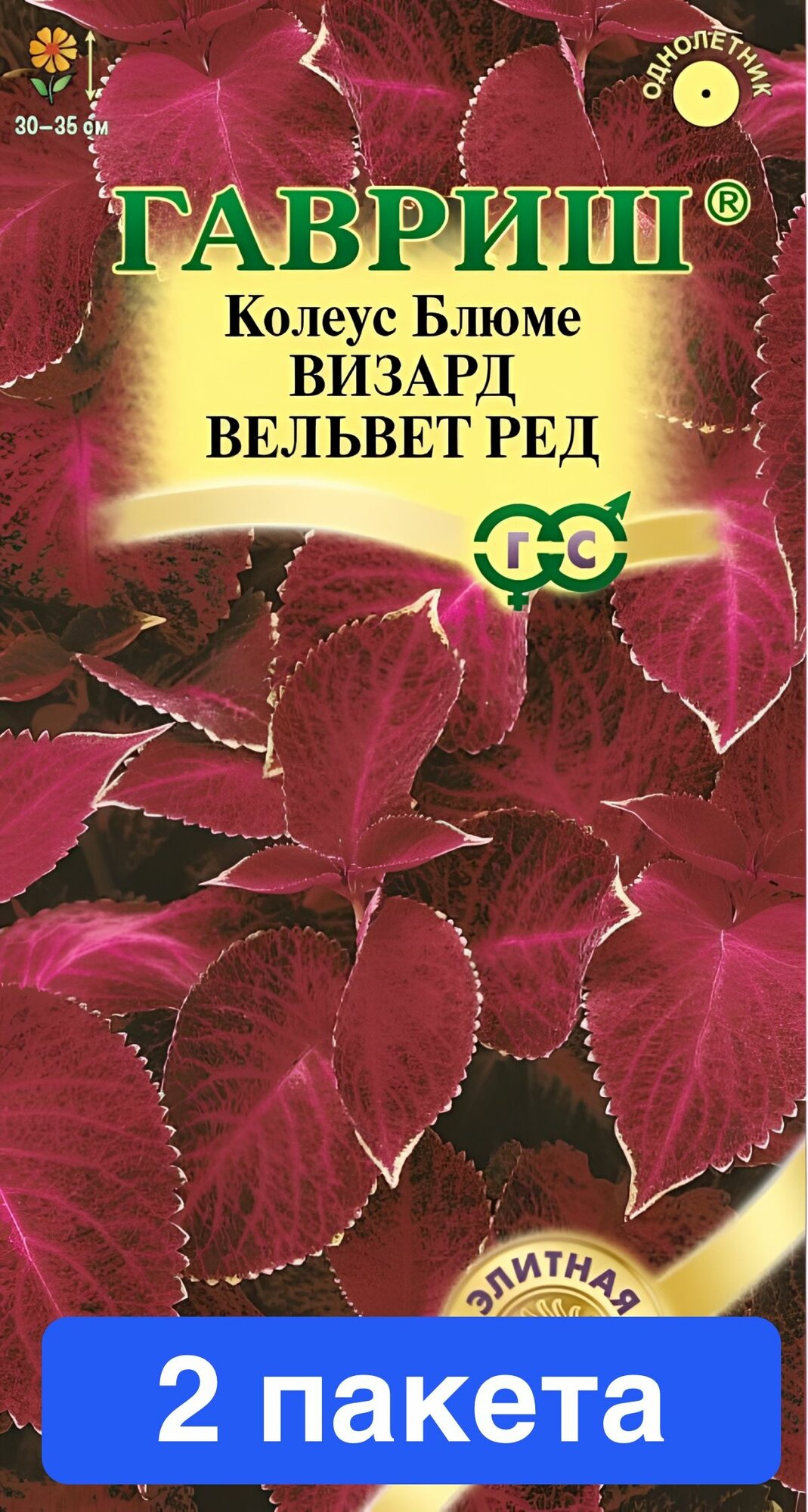 Цветы Колеус Визард Вельвет ред 2 пакета