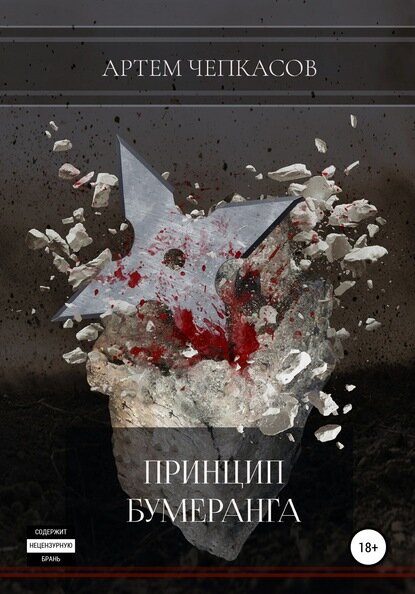 Принцип бумеранга [Цифровая книга]