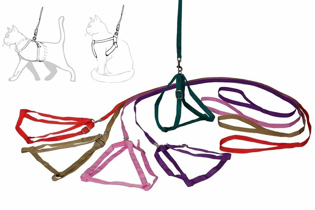 Yami-Yami Комплект - шлейка (шея до 25см, грудь до 40см) и поводок 1,2м капроновые, черные