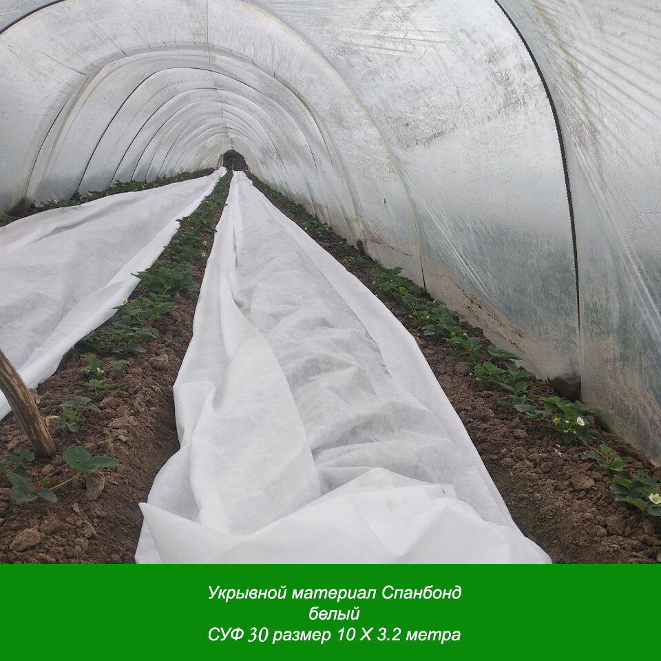 Укрывной материал для растений / Спанбонд белый (СУФ 30, 10х3,2 м.)
