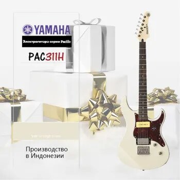 Электрогитара 1DN9cEX7 6-струнная