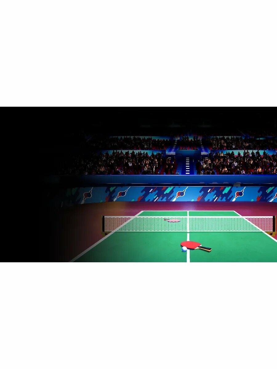 VR Ping Pong Pro PS4 & PS5