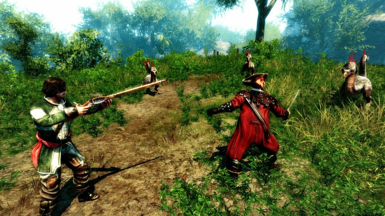 Risen 2: Dark Waters, Все страны — фото 1