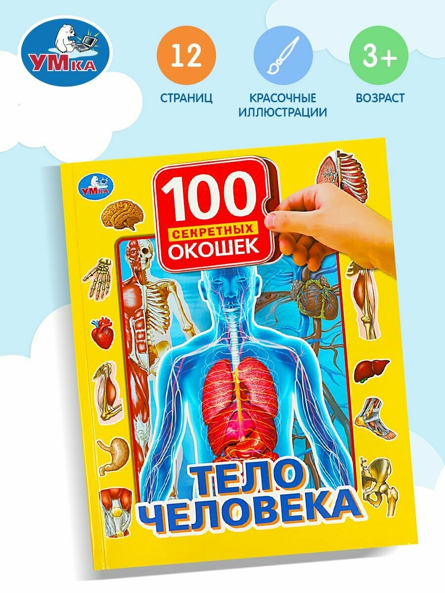 Книга для детей Тело человека ТМ УМка