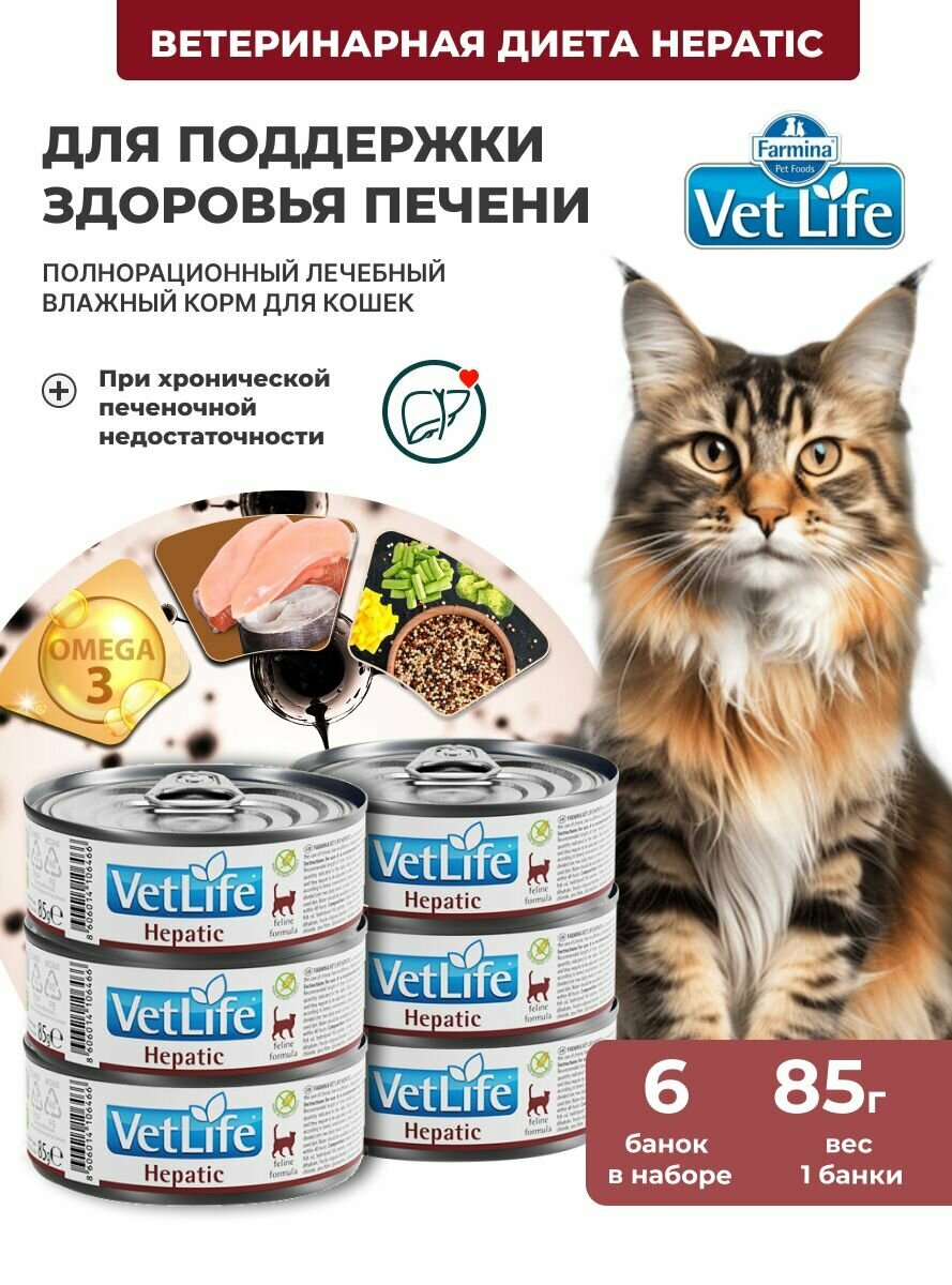 Vet Life При болезнях печени, ХПН Для кошек 6шт х 85гр Влажный диетический корм farmina hepatic гепатик