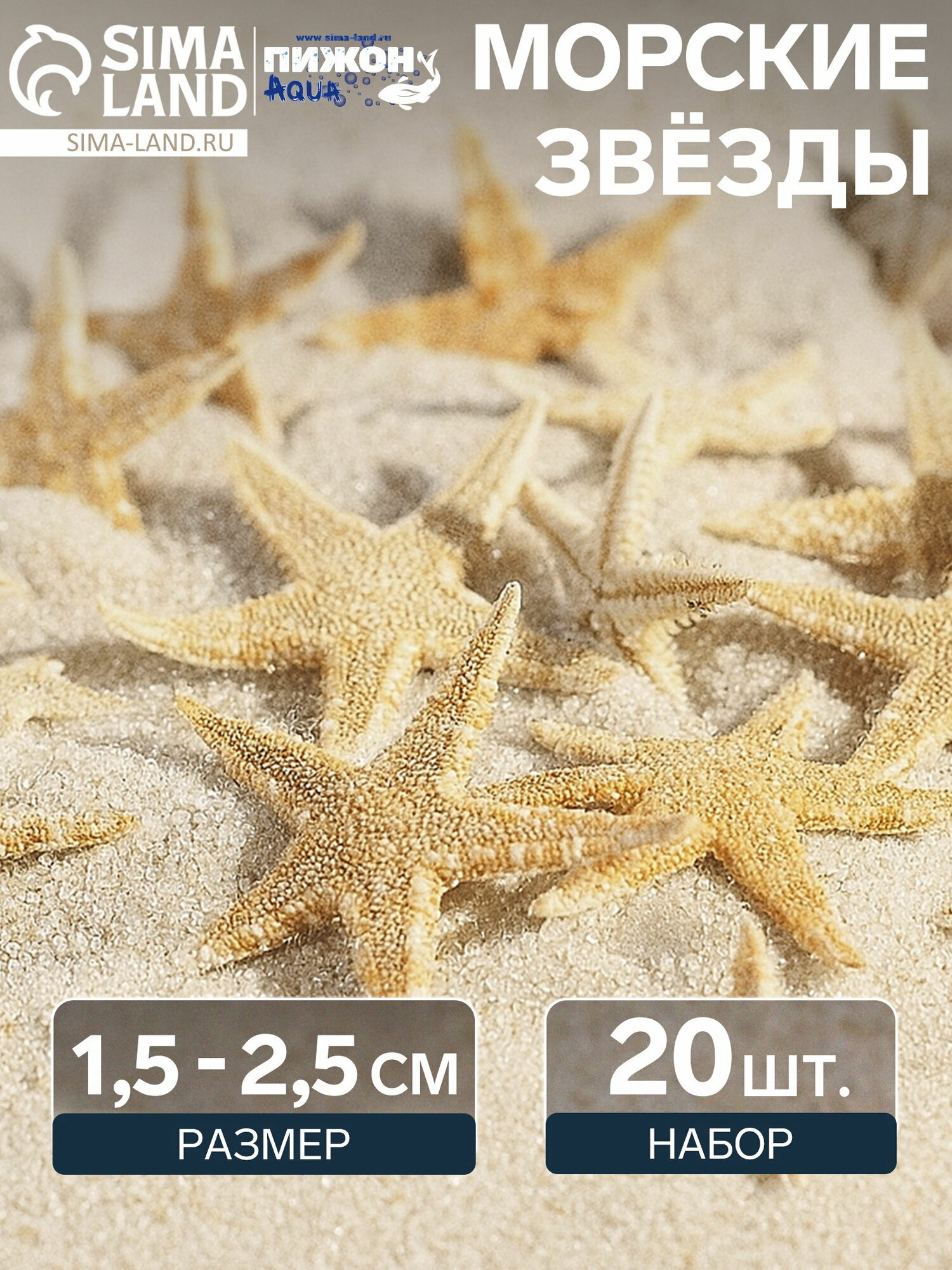Набор натуральных морских звезд, 1.5 - 2.5 см, 20 шт, форма фигуры: звезда