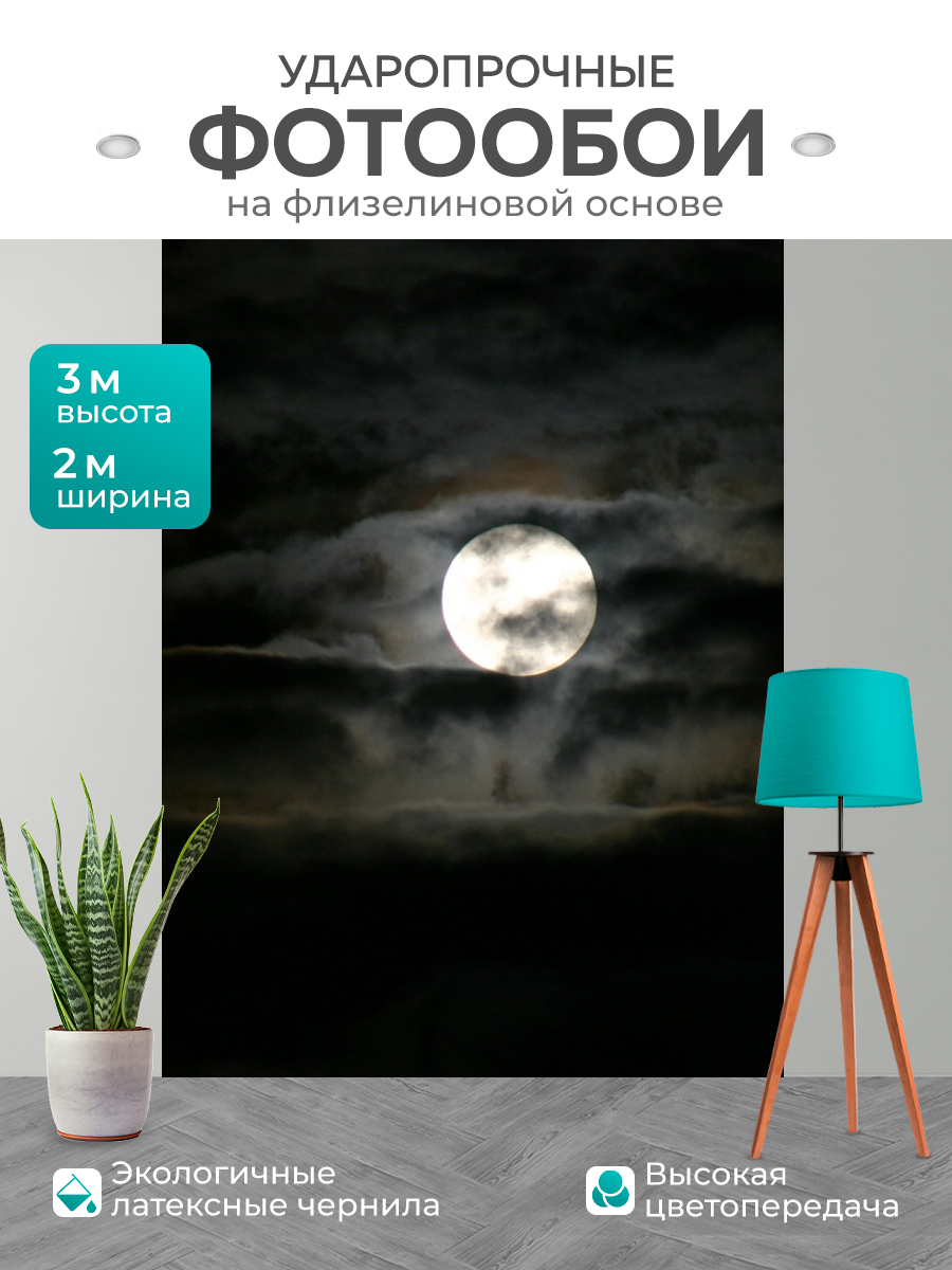 Фотообои моющиеся ударопрочные "Луна, ночь, небо" 200x300 см. флизелиновые на стену