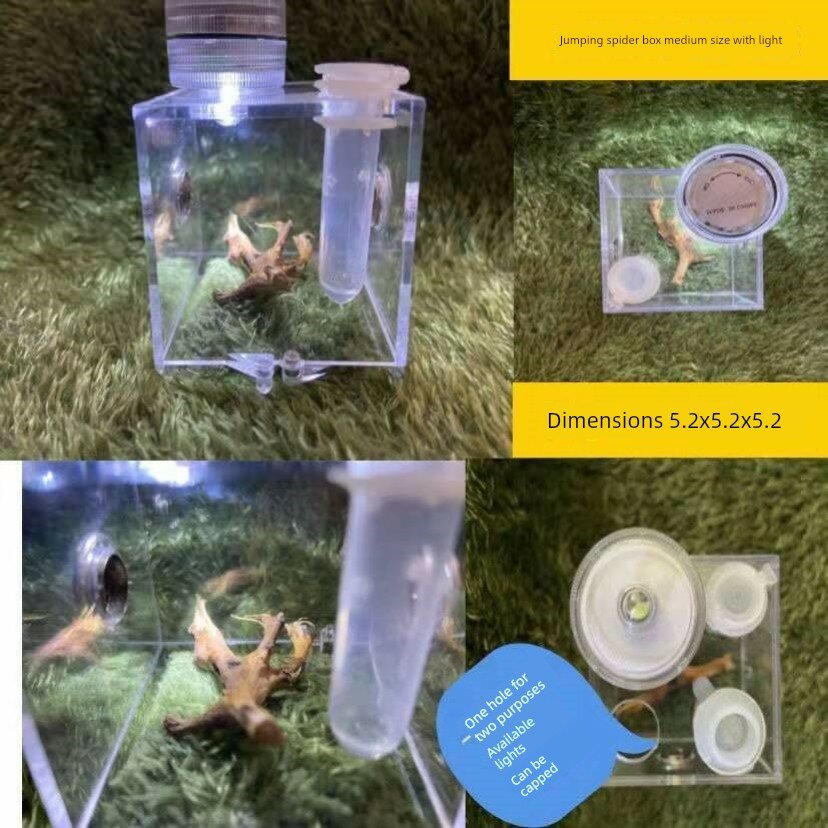 Клетка для разведения прыгающих пауков, премиум-террариум для пауков, для цикад, стрекоз, высокопрозрачный контейнер