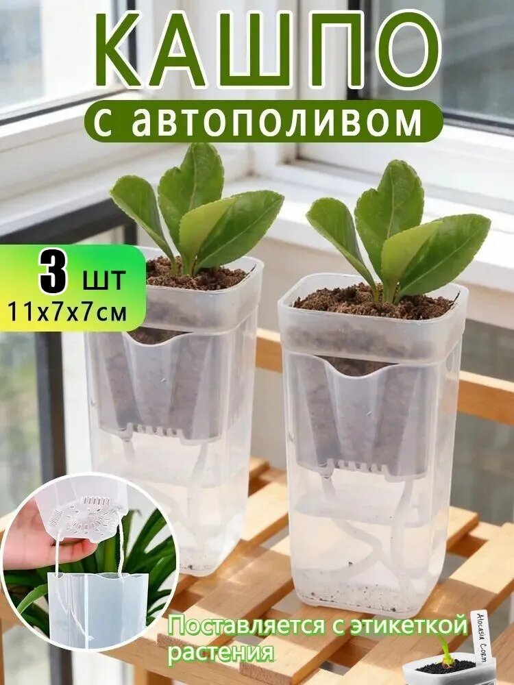 Каскад для цветов 0.2 л, 3 шт