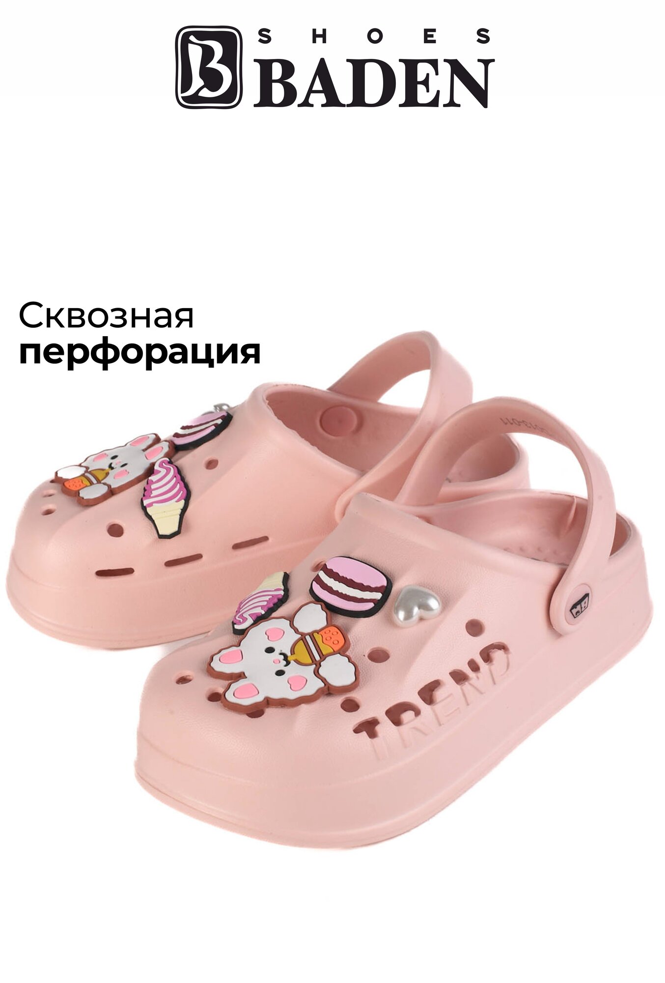Сланцы