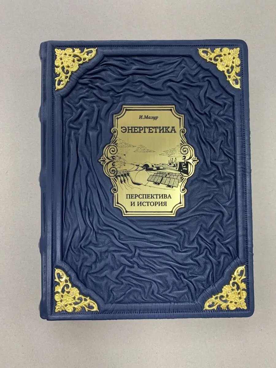 Энергетика. Перспектива и история (подарочная кожаная книга)
