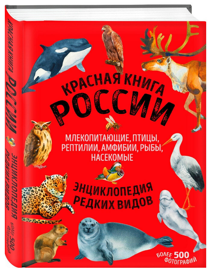 Красная книга России: все о жизни дикой природы
