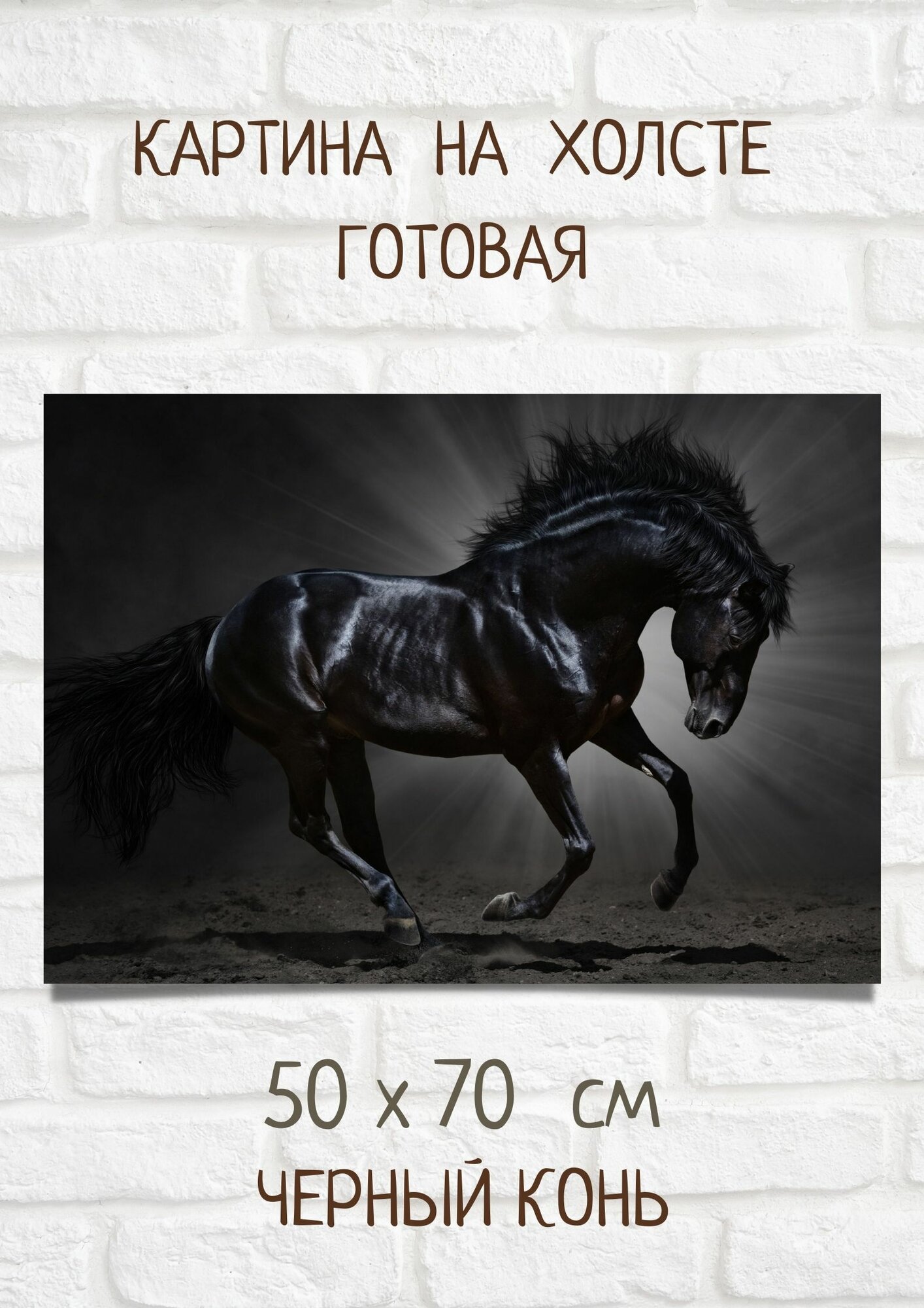 Картина лошадь в арт стиле - Черный жеребец 70х50