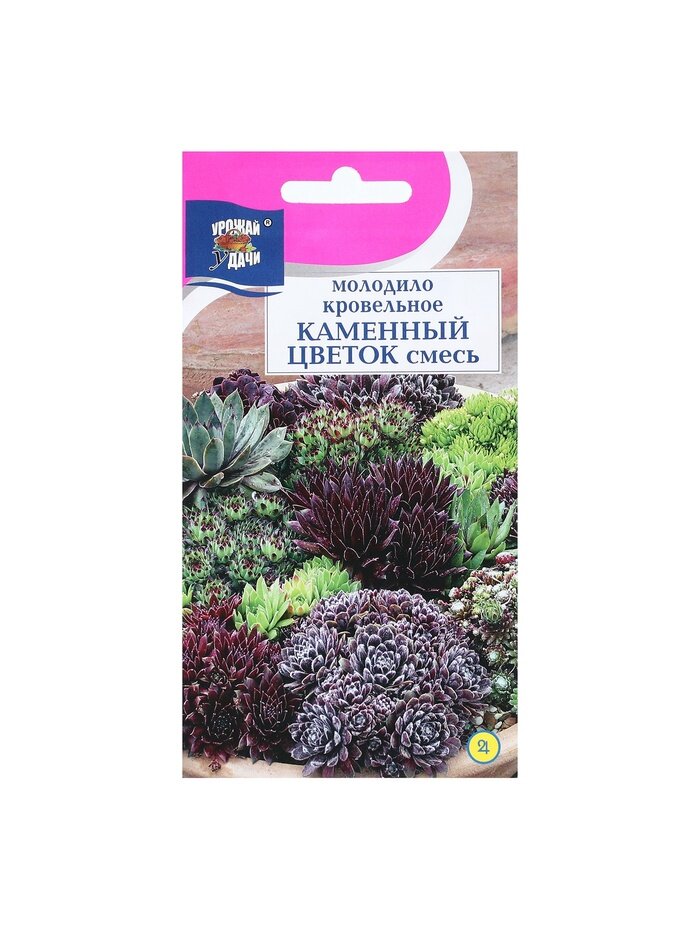 Набор семян Молодило "каменный цветок", смесь, 5 шт.