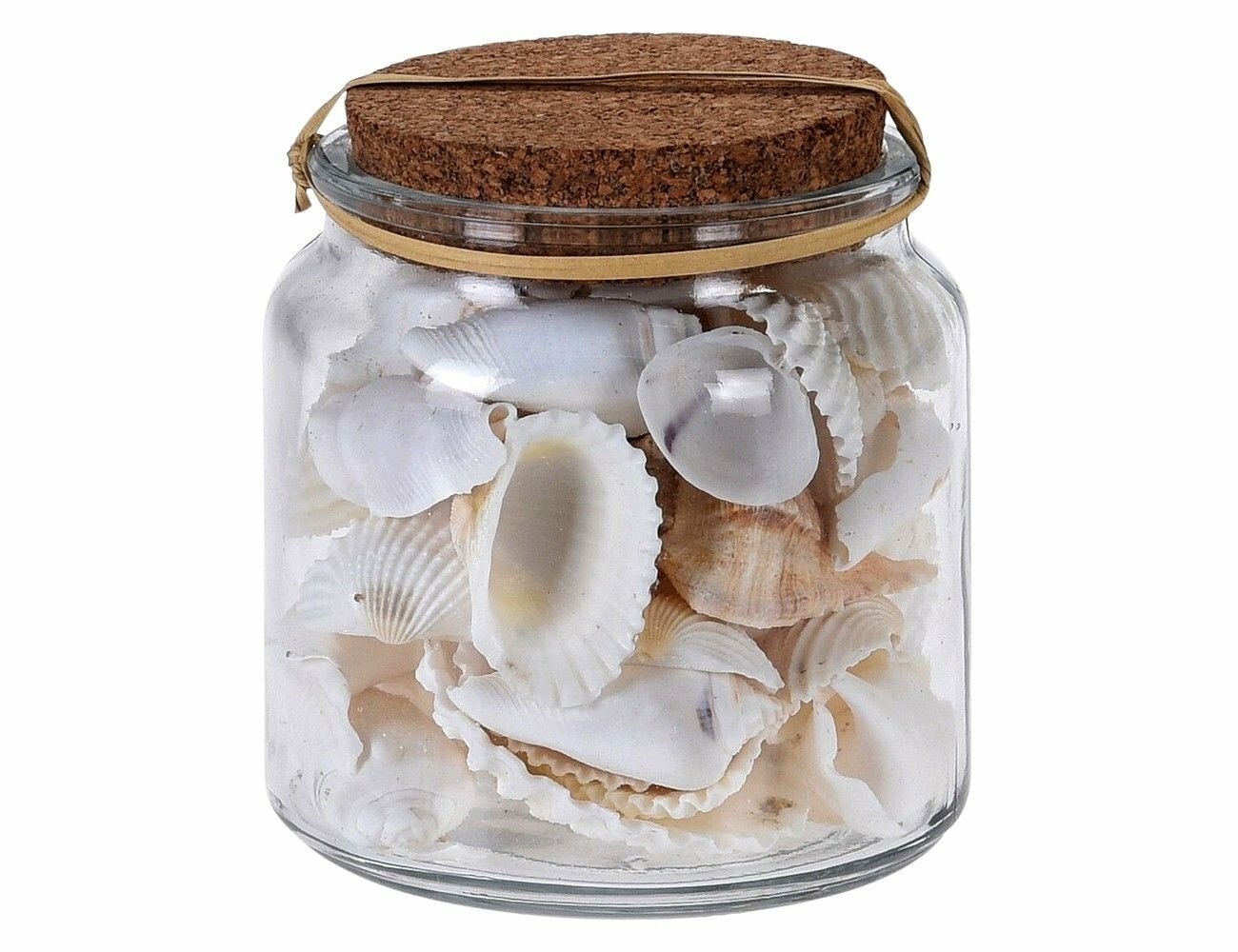 Набор ракушек для декора, бежевые, 10 см, Koopman International