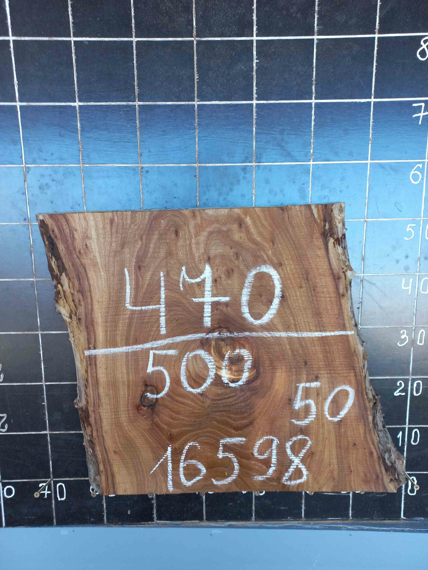 Слэб Доклес №16598 "Карагач", 5x50x47 см, сухой, антисептический, 1 шт