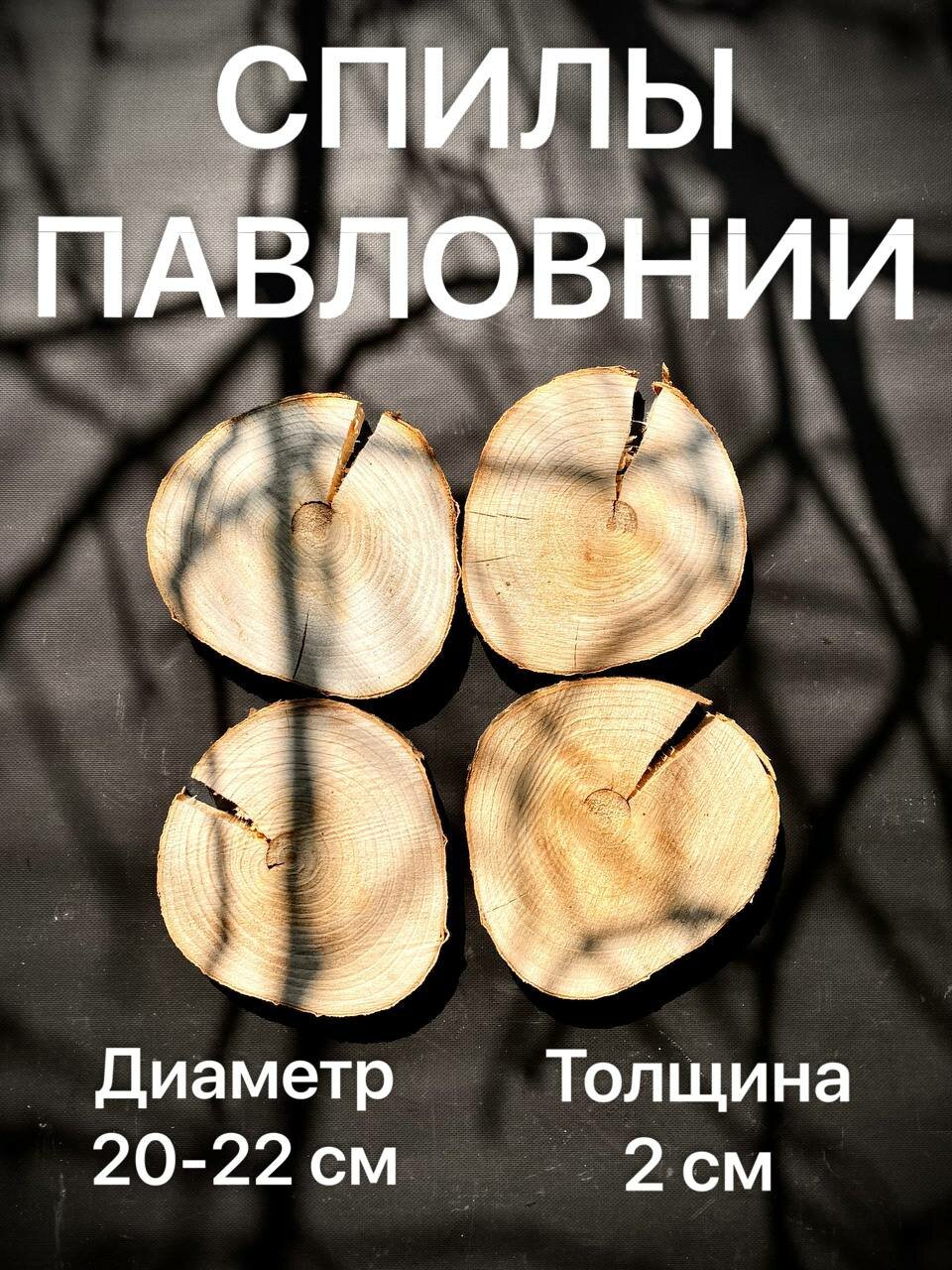 Спил Павловнии, диаметр 20-22 см, толщина 2 см, 1шт