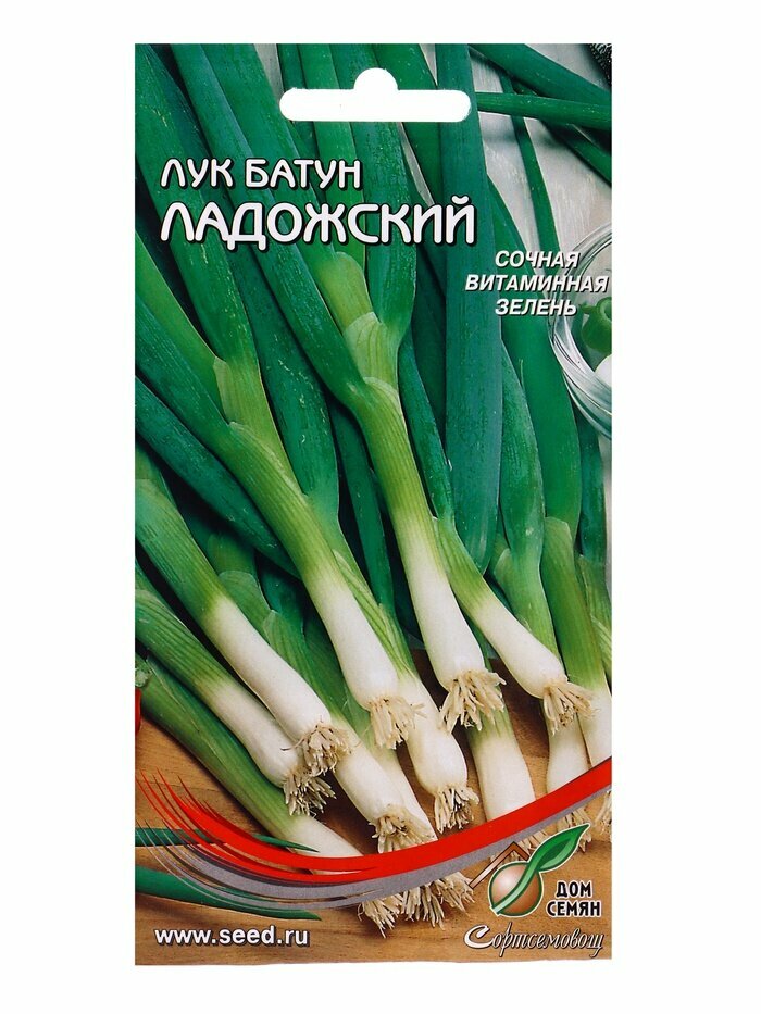 Семена Лук батун "Ладожский" (/: 17 е/д) 6484531