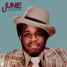Виниловая пластинка Junie - The Funky Worm (LP+V7) Limited, 2023