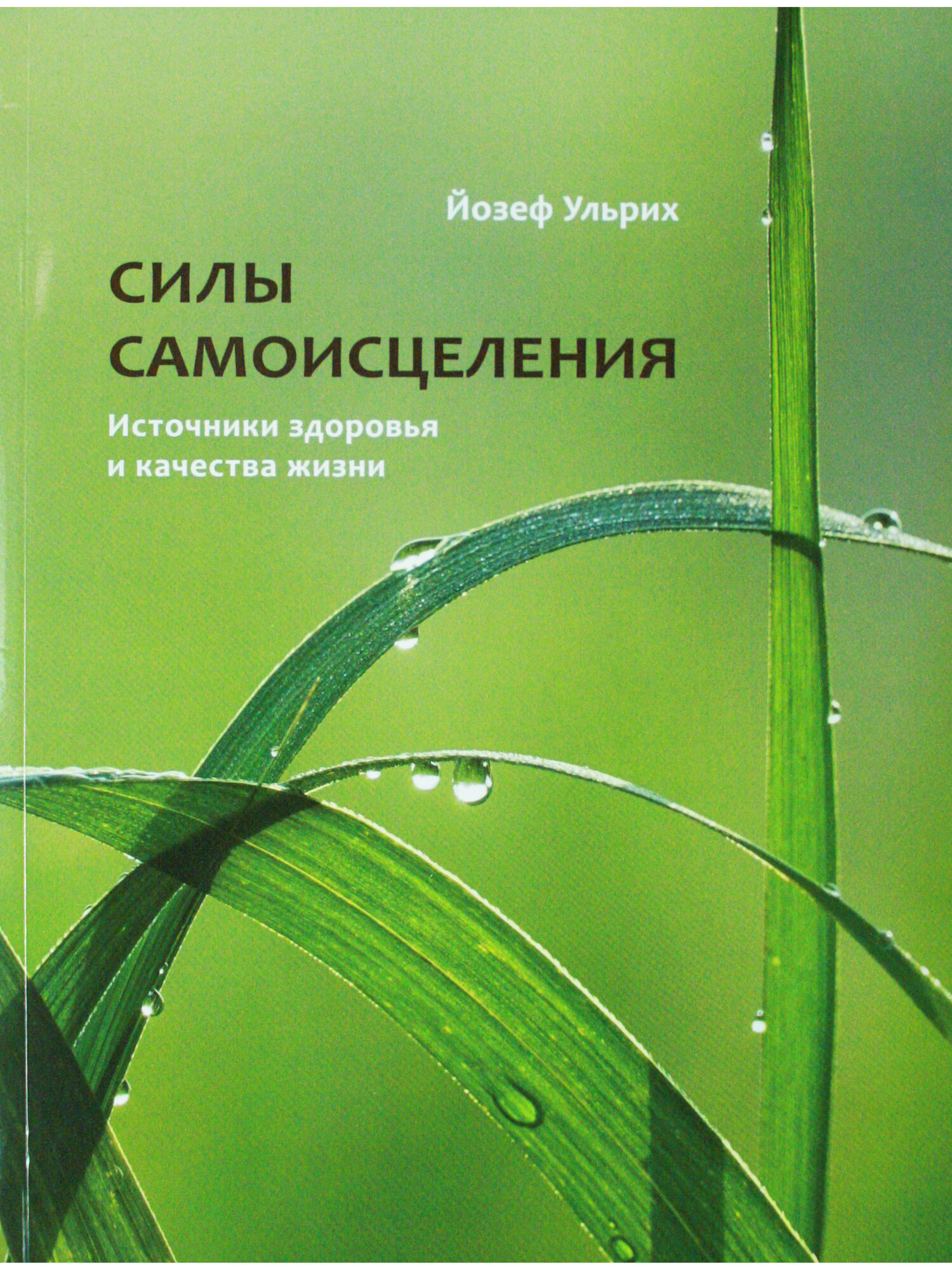 Силы самоисцеления. Источники здоровья и качества жизни