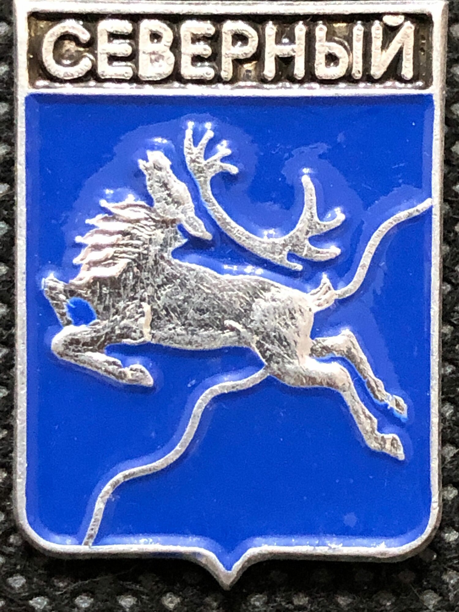 Значок Северный герб гербы районов Санкт-Петербурга #17