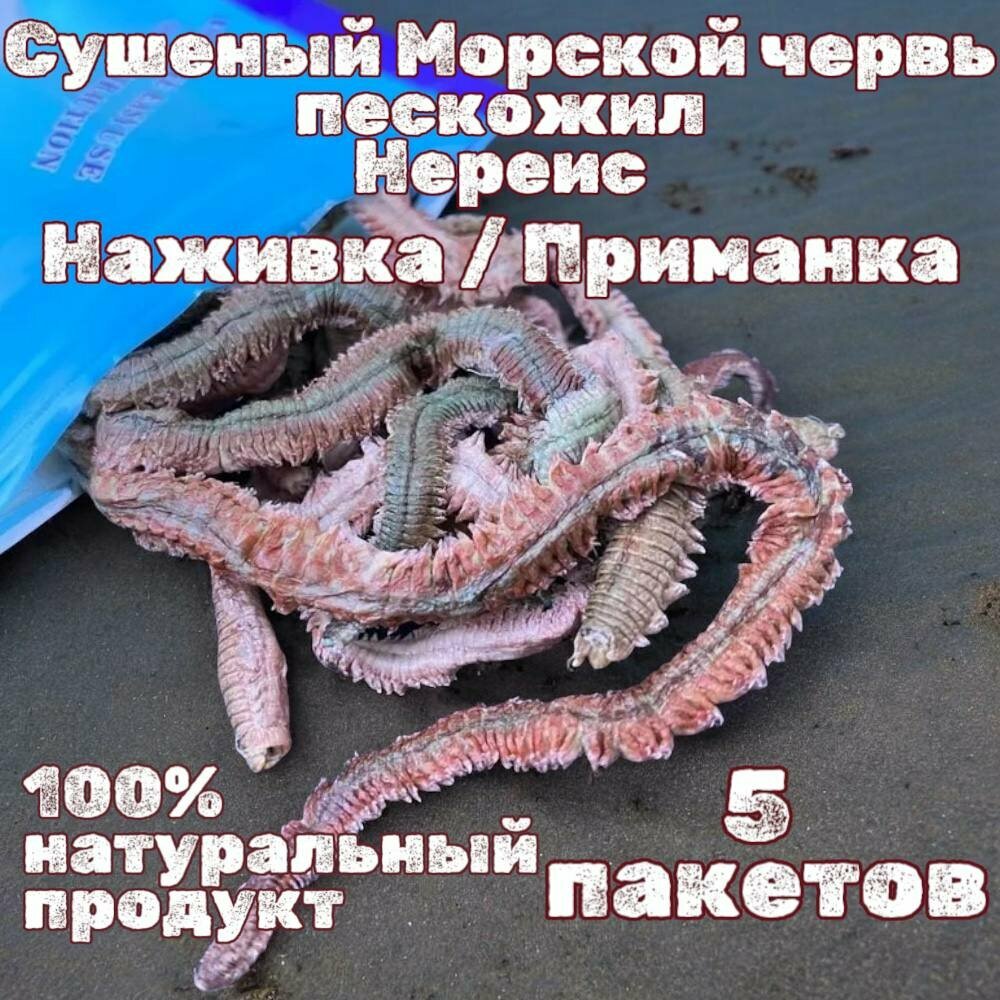 Мягкая приманка наживка из сушеного червя пескожила(нереис)/ Морской червь 5 пакетов