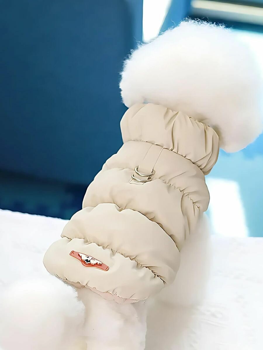Одежда для животных — фото 1