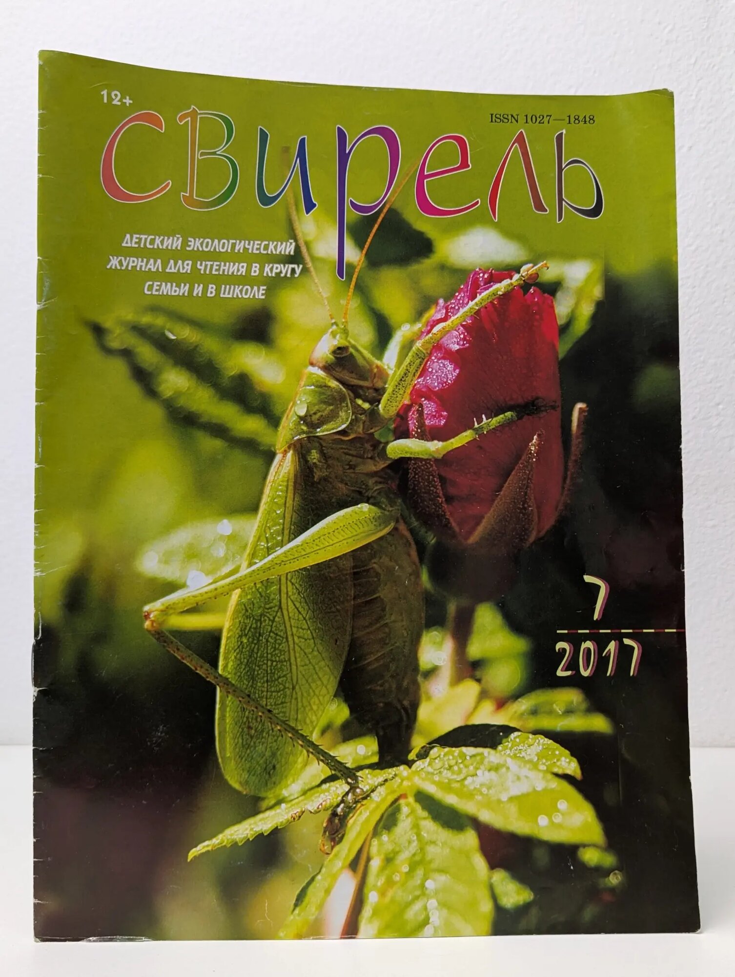 Свирель. Выпуск № 7/2017 Сборник 2017