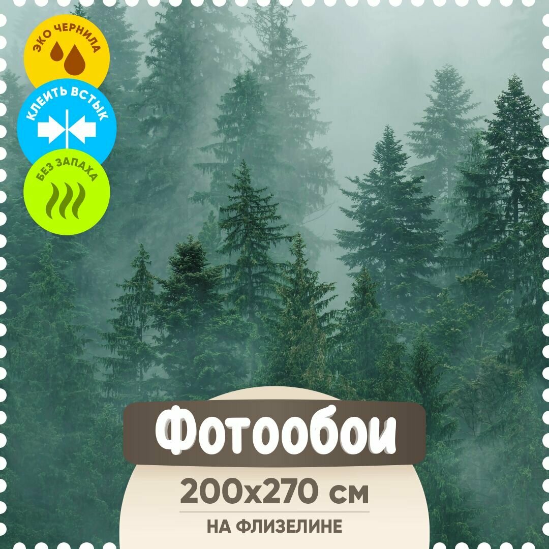 Туманный лес (изумрудный) / Флизелиновые фотообои на стену для комнаты: гостиной спальни / 200*270