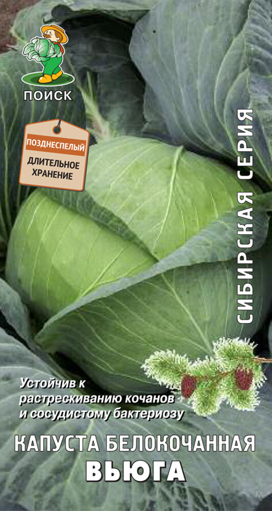 Семена Капуста белокочанная «Вьюга», (3 упак.)